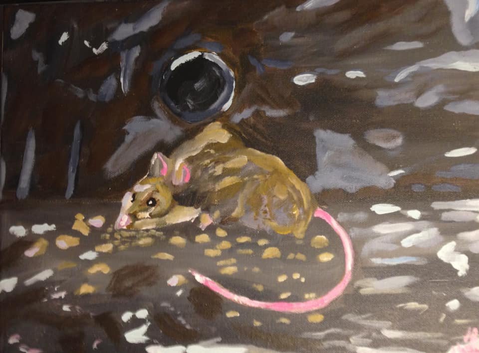 Rotten - Dyr / Animals paintings - Galleristore.dk